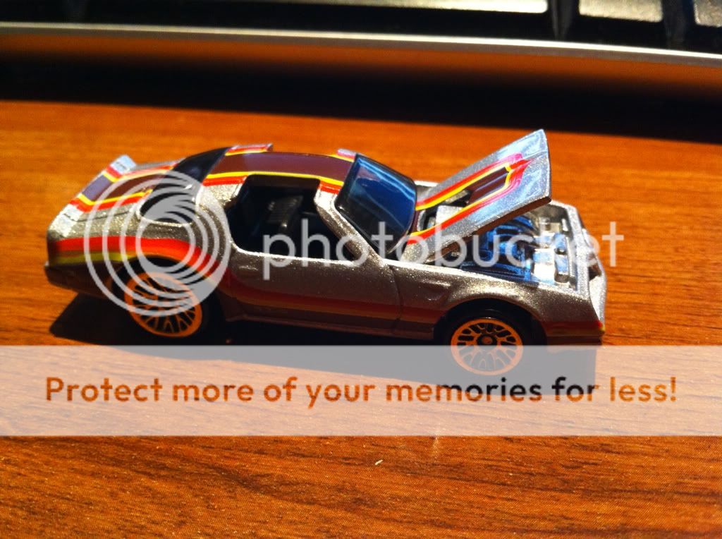 Awesome new Hot Bird | Hobbyist Forums