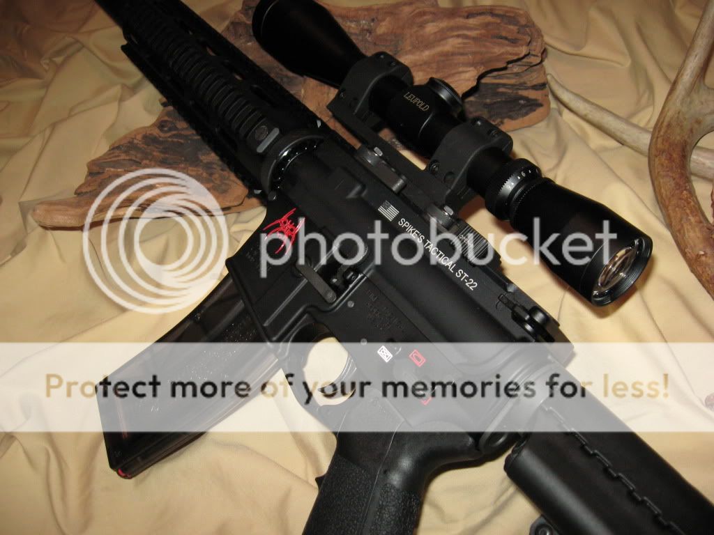 Spike's Tactical 22LR Picture Thread (22LR's Only Please) - Page 7 ...