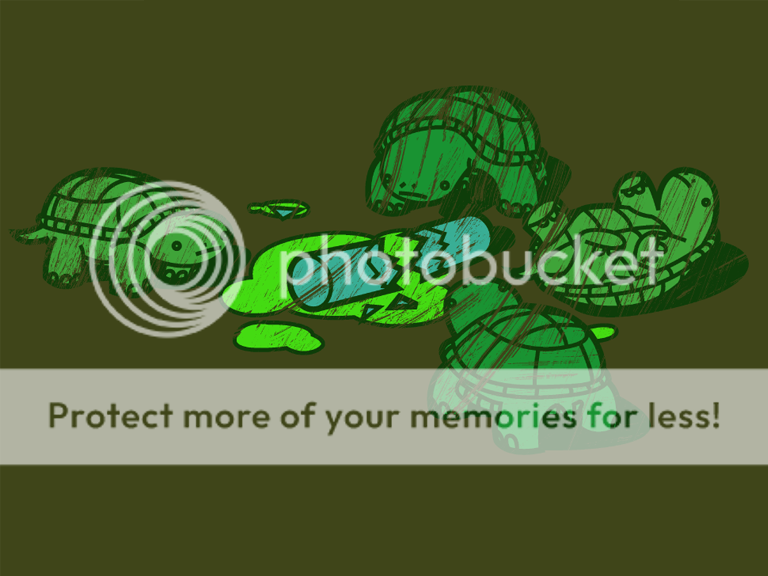 My 4 baby turtles got covered in this. Should I send them to martial ...